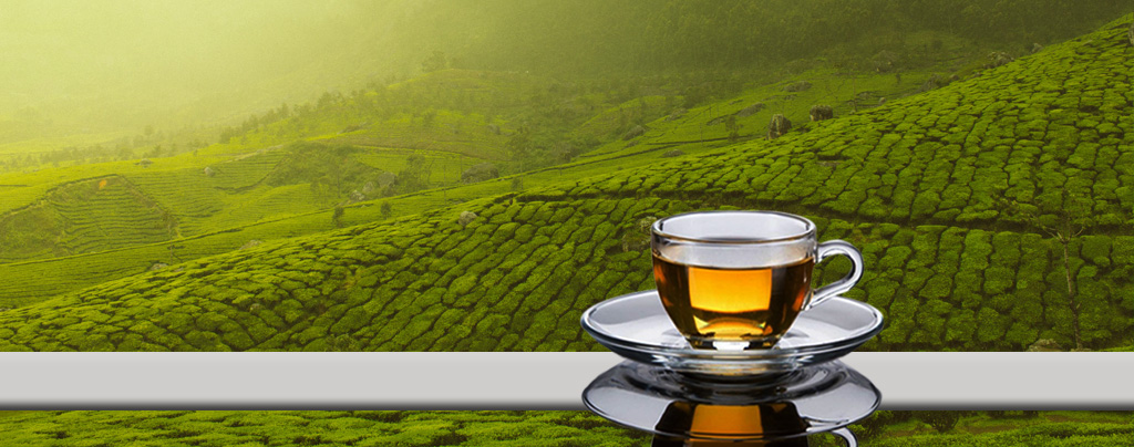 Home - Prime Tea Ceylon