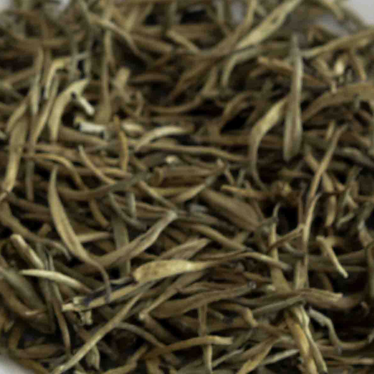 Home - Prime Tea Ceylon