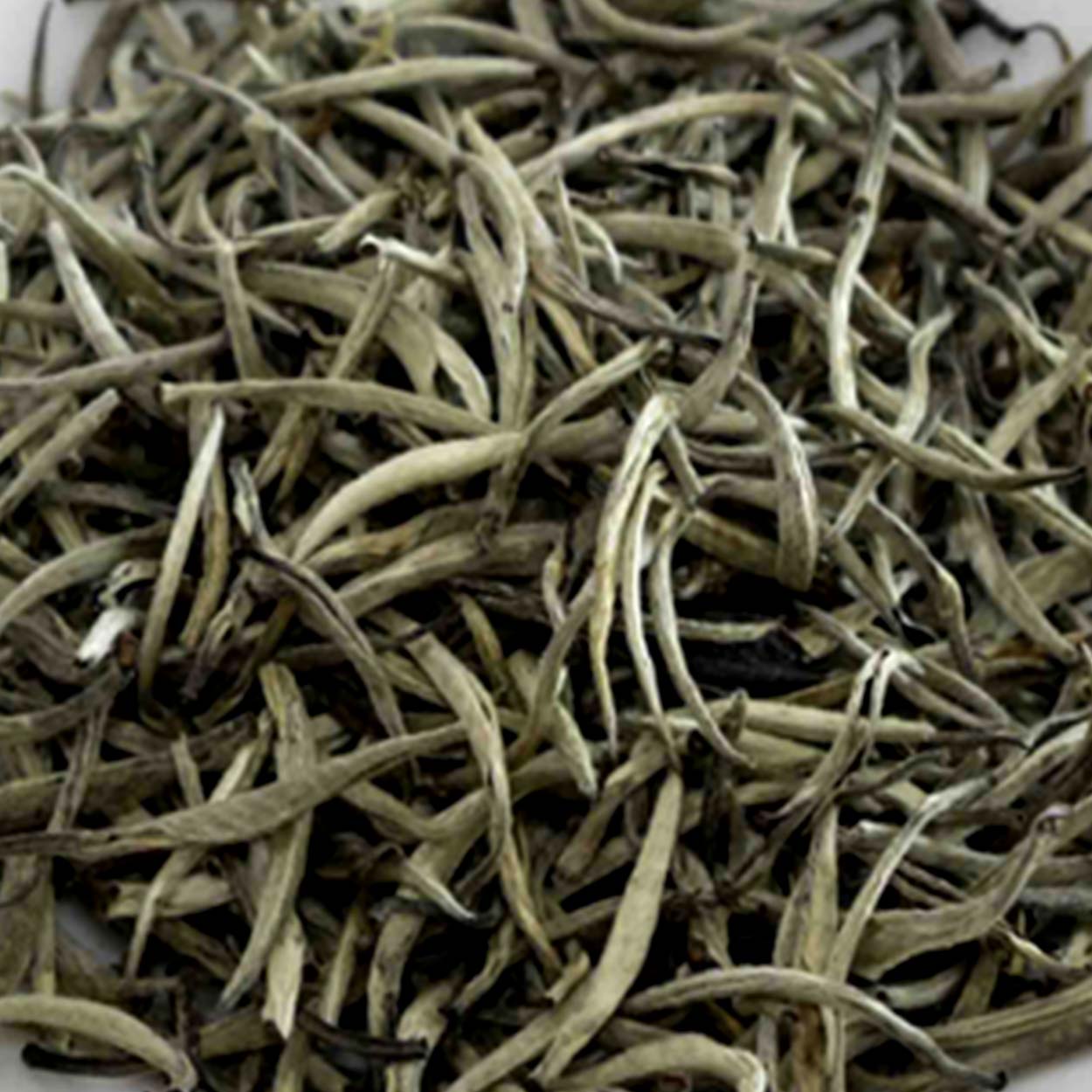 Home - Prime Tea Ceylon