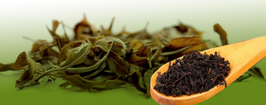 Home - Prime Tea Ceylon